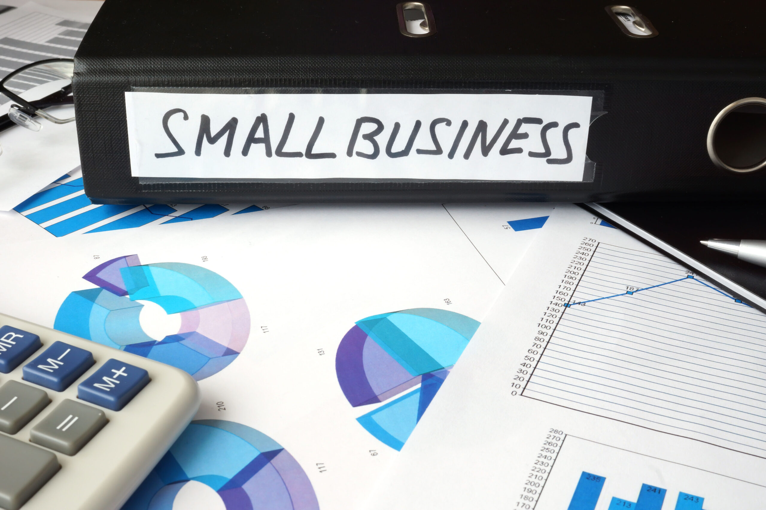 New small businesses chiefs appointed - Small Business UK